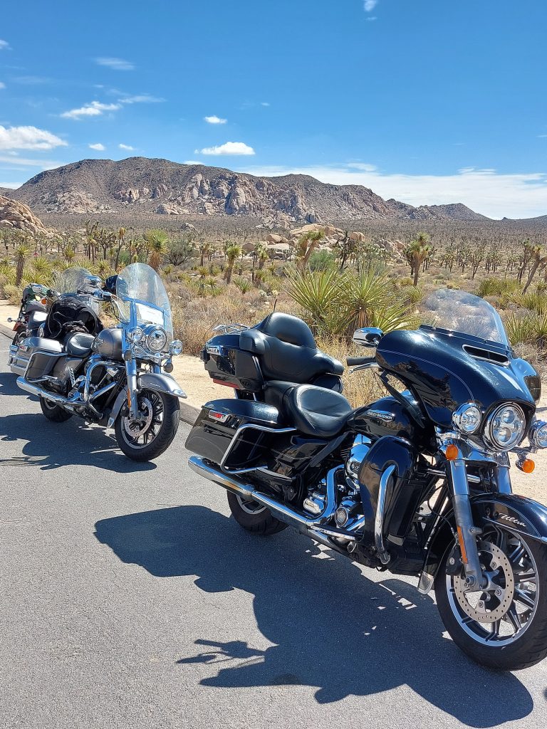 Easy ride - Catalogue 2026 - West Forever : Catalogue 2026 – West Forever